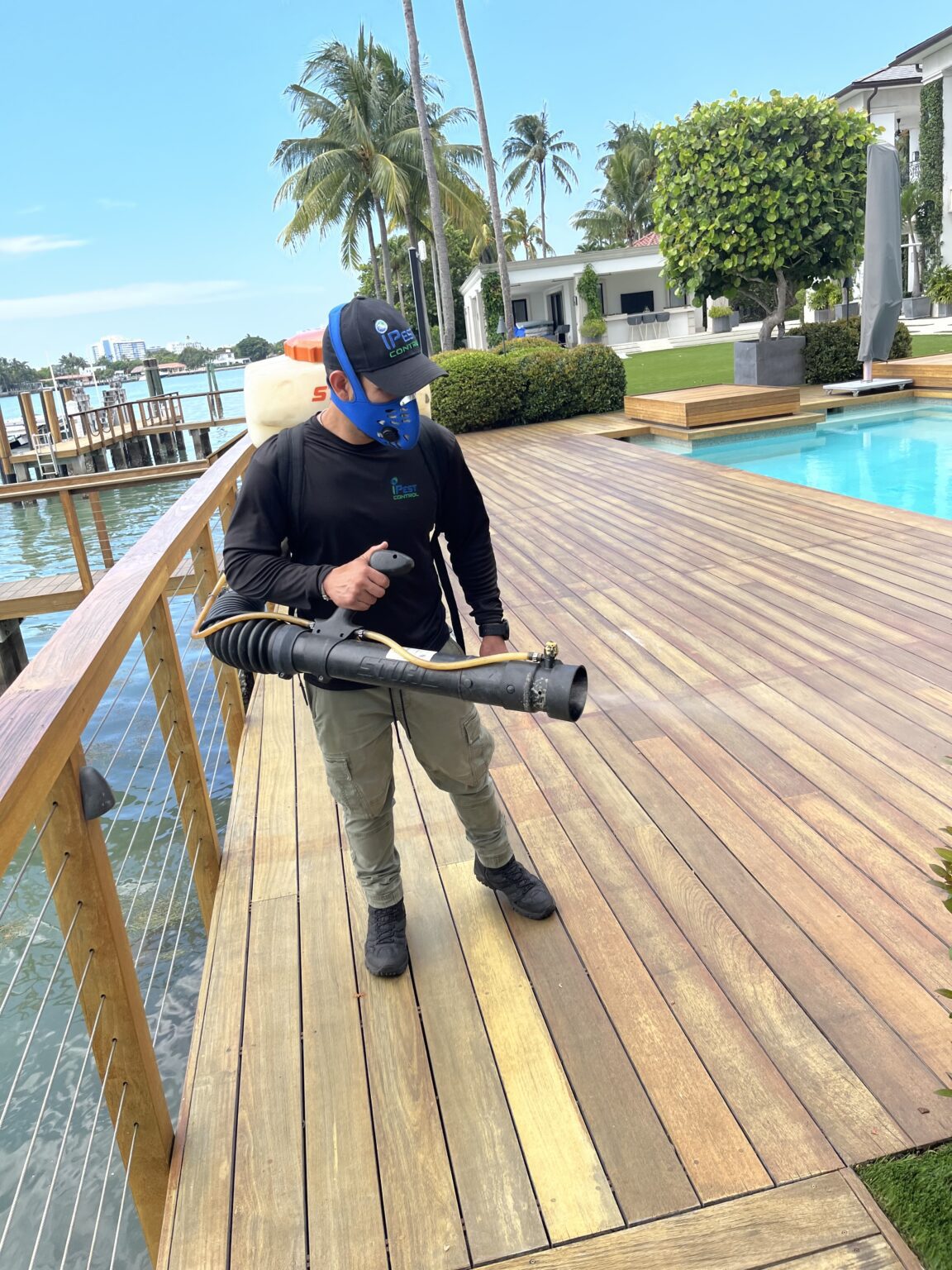 Pest Control in Miami FL | IPest Control Inc.