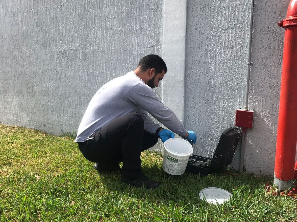 Why Florida’s Climate Makes Standard Pest Control Fail in Miami